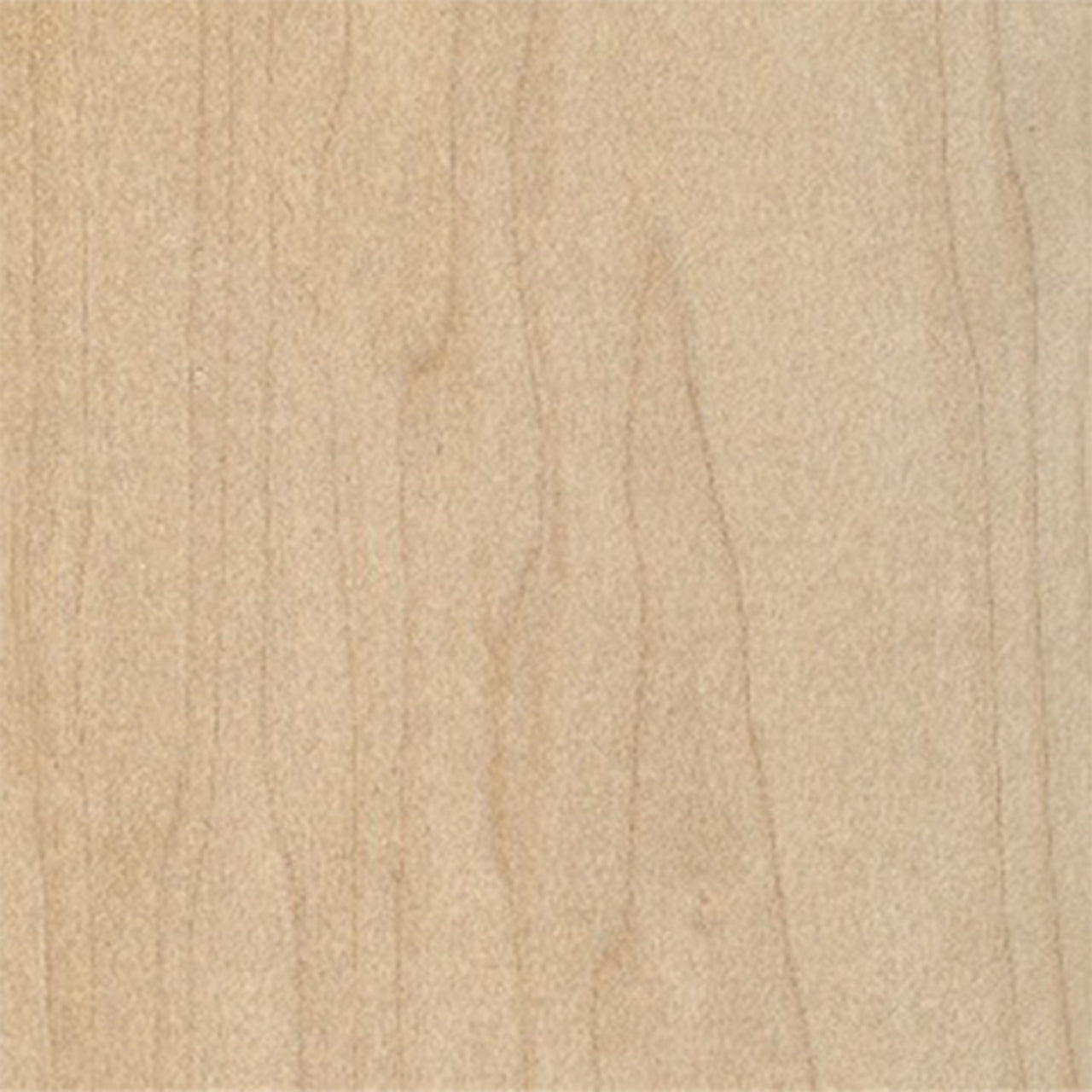 Shop Premium Maple D4S Boards for Smooth, Durable Surfaces | Turkstra ...